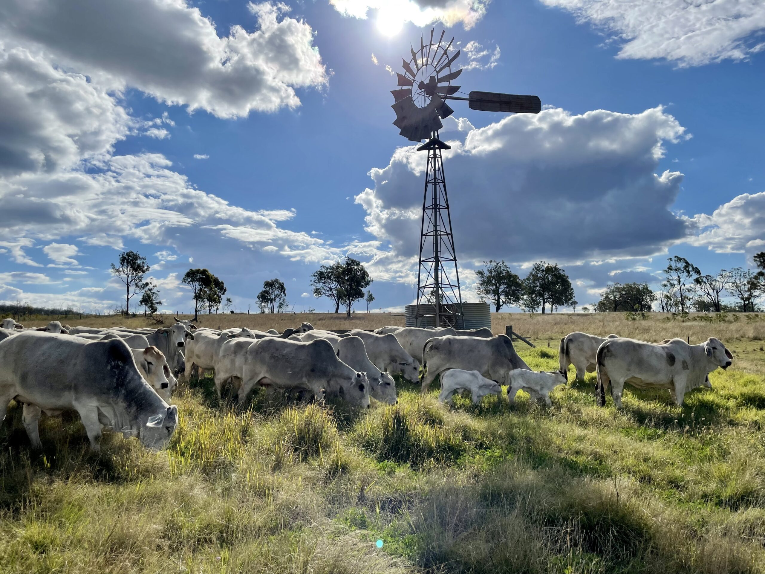 The AgWay Recruitment - Matching Ambitions With Positions